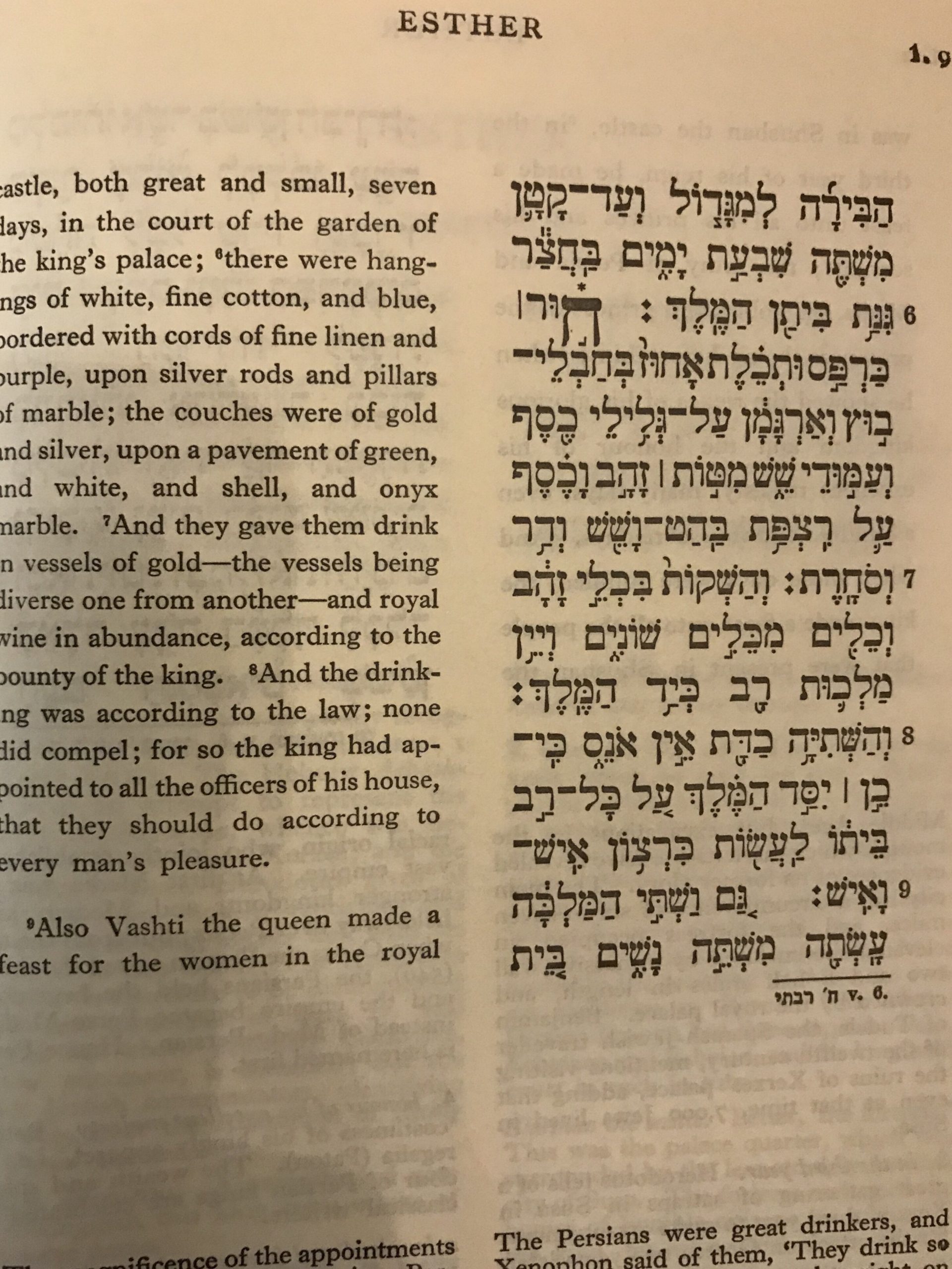 Will the Real Techeiles / Tekhelet Color Please Show Up - My Western Wall