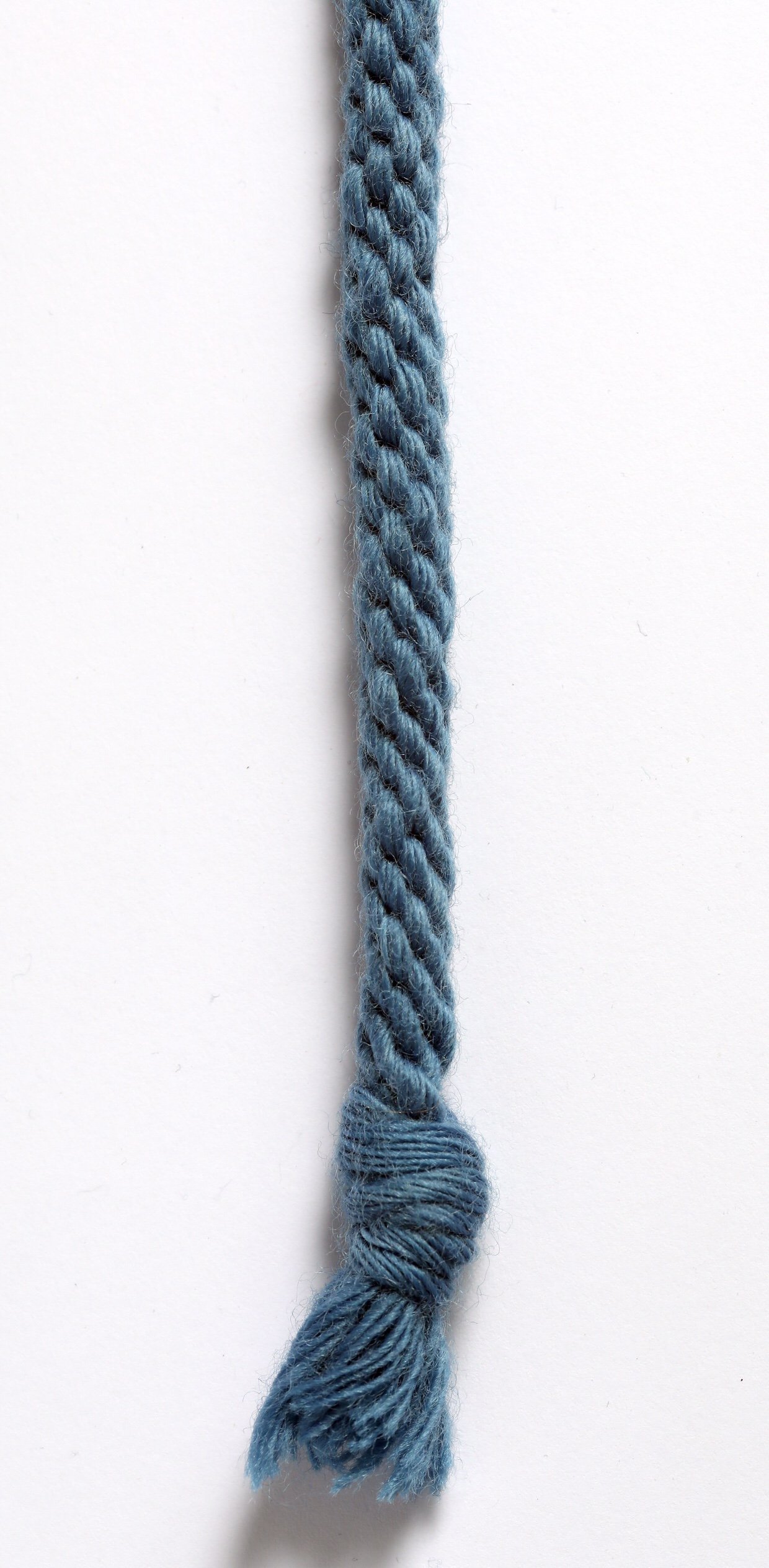 What Exactly is a Psil, as in Ptil Tekhelet? - My Western Wall