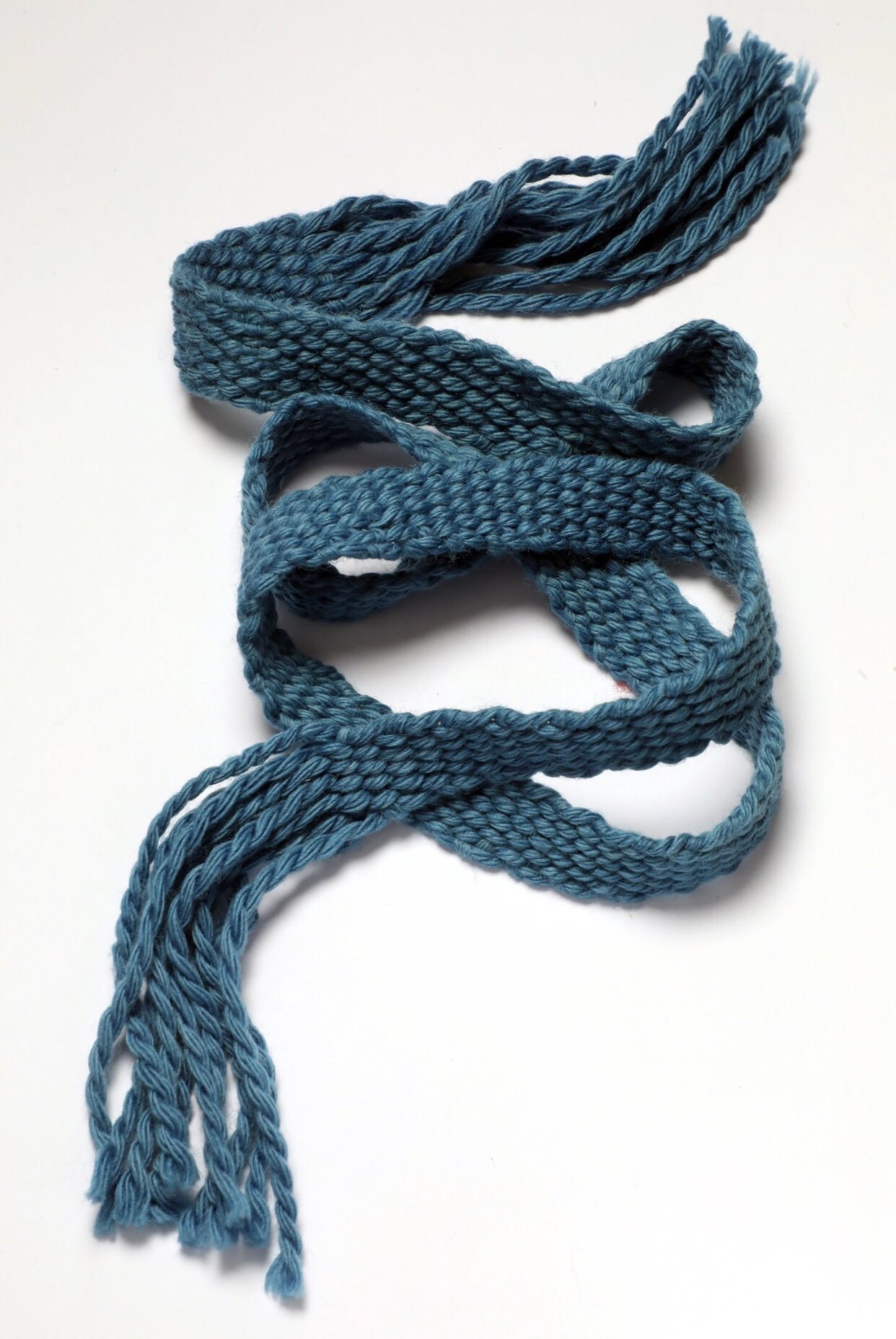 What Exactly is a Psil, as in Ptil Tekhelet? - My Western Wall